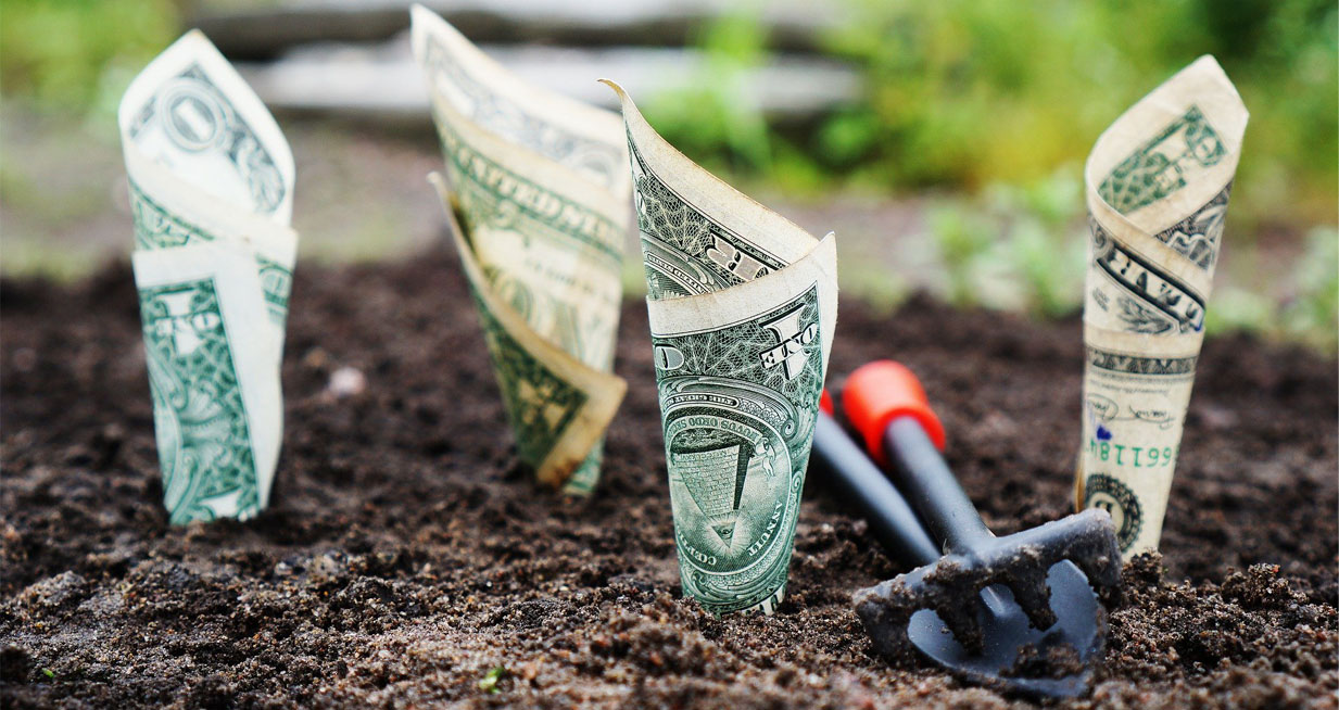 6 Wealth Accumulation Strategies You Can Implement Today